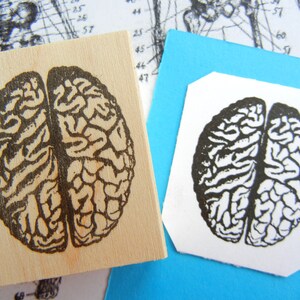 Human Eye Rubber Stamp Female Eye Stamp Anatomy Gift - Etsy