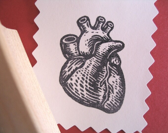 Anatomical Heart Polymer Rubber Stamp Handmade by Blossom Stamps - Etsy
