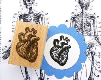 Human Brain Rubber Stamp, Anatomy Rubber Stamp, Gift for Medical ...