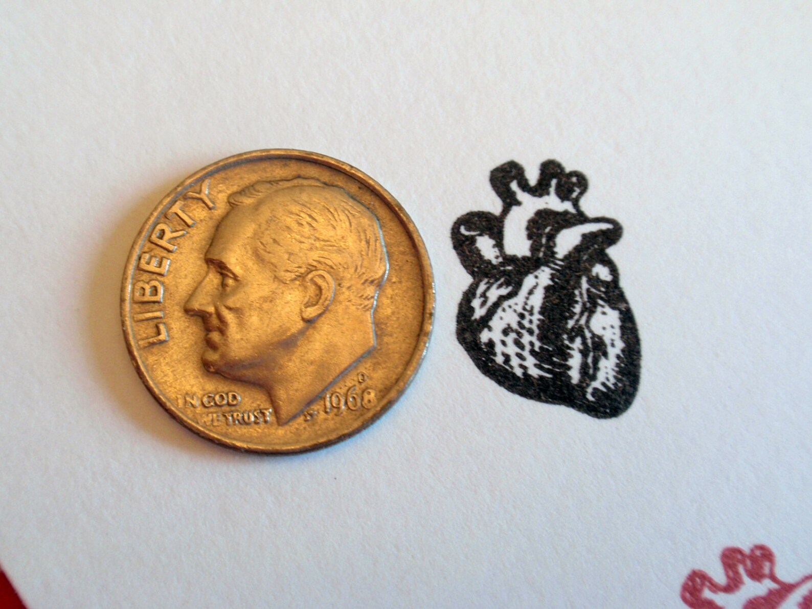 Anatomical Heart Rubber Stamp Human Heart Anatomy Stamp Gift - Etsy
