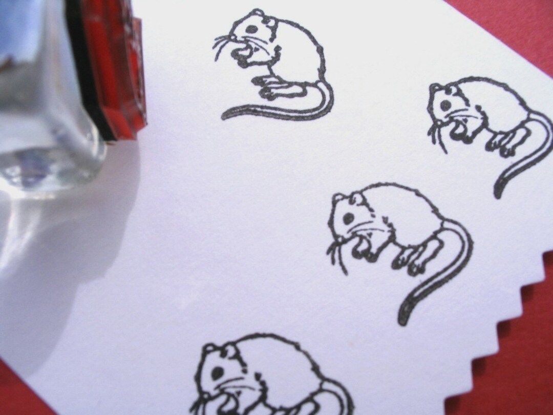 Tiny Mouse Rubber Stamp, Mini Gerbil Rubber Stamp, Small Rat With Long ...