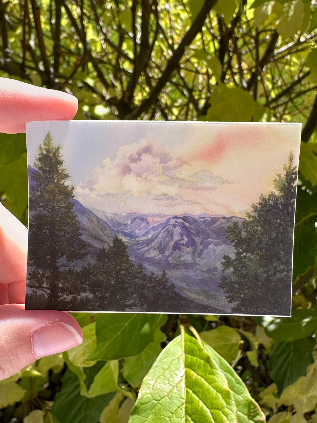 Beartooth Pass Vinyl Sticker: Montana Mountain Landscape - Etsy