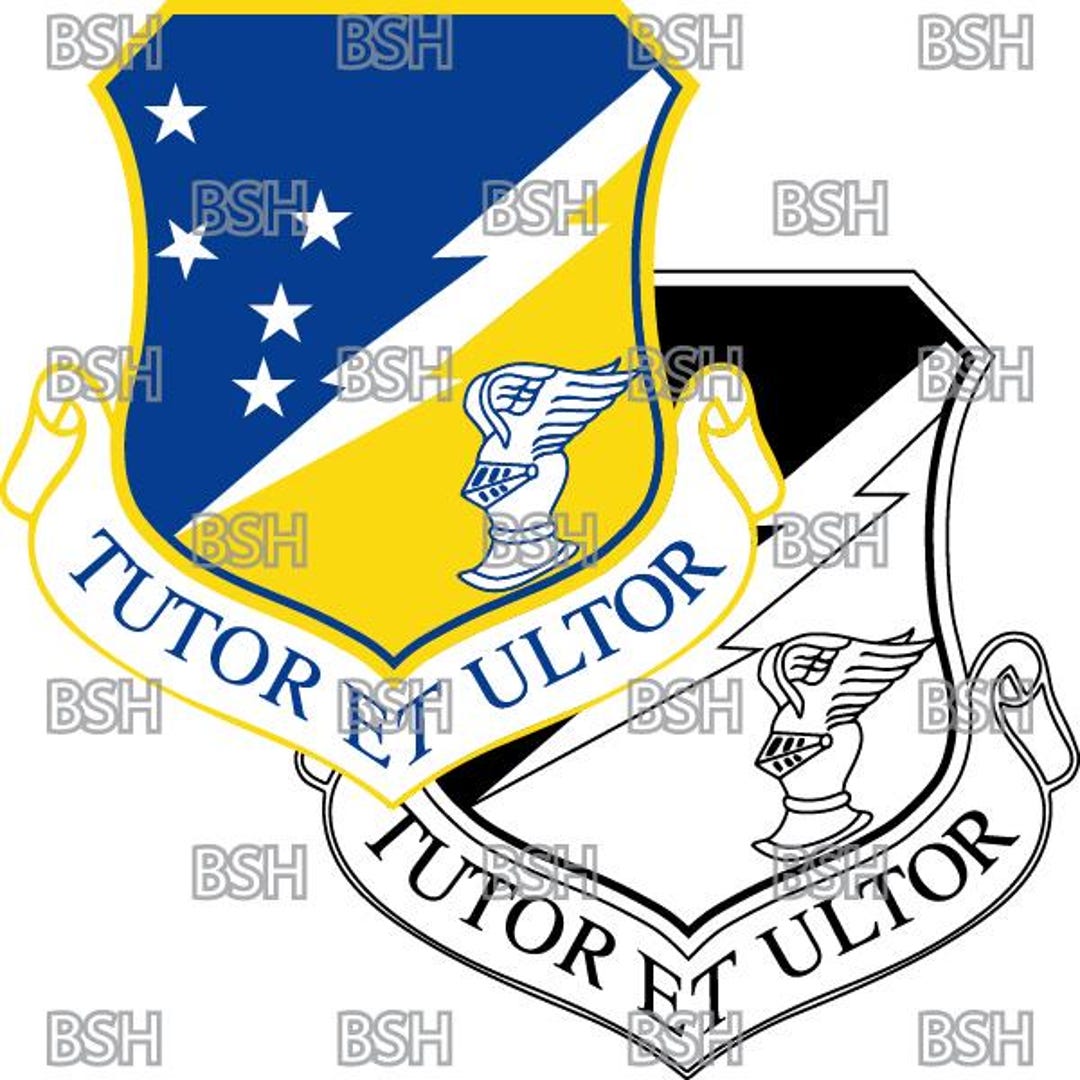 49th Wing (holloman AFB) Patch Vector Image Files (.ai, .pdf, & .svg ...