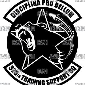 325th Training Support Squadron (tyndall AFB) Patch Vector Image Files ...