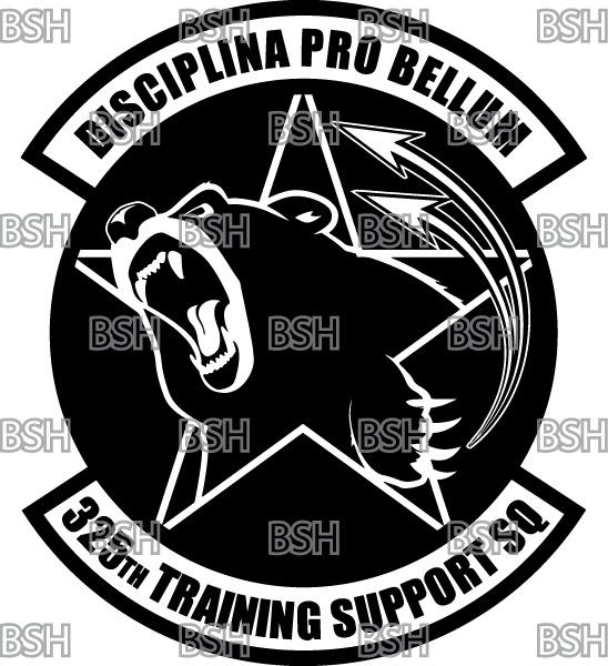 325th Training Support Squadron (tyndall AFB) Patch Vector Image Files ...