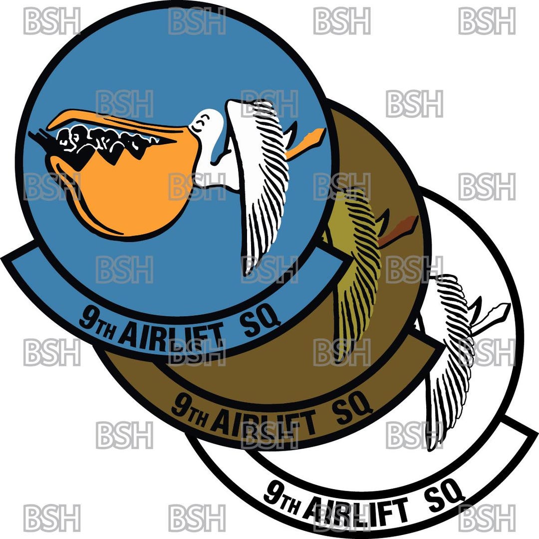 9th Airlift Squadron (dover AFB) Patch Vector Image Files (.ai, .pdf ...