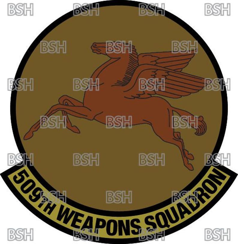 509th Weapons Squadron (fairchild AFB) Patch Vector Image Files (.ai ...