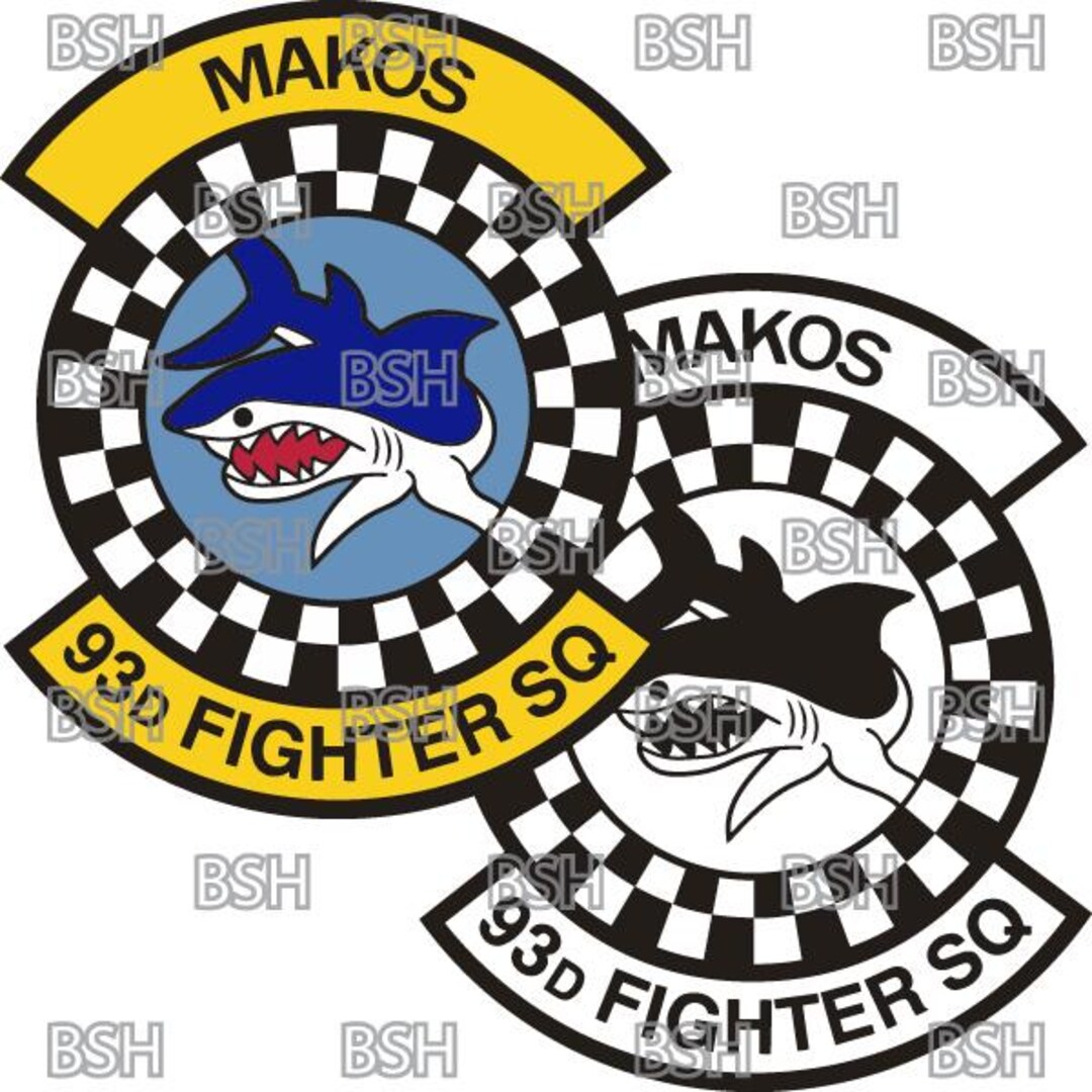 93rd Fighter Squadron (homestead ARB) Patch Vector Image Files (.ai ...