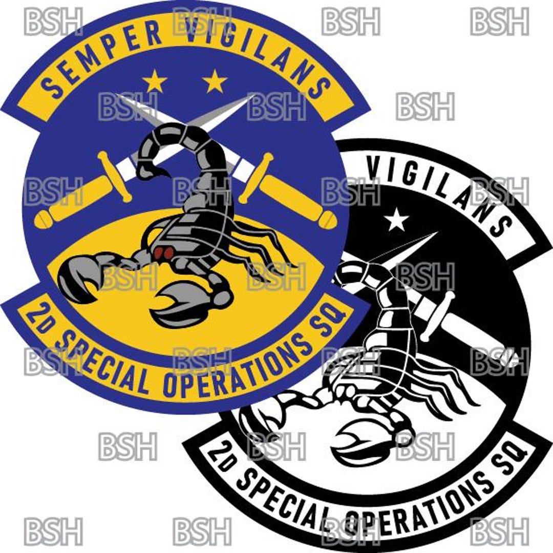 2d Special Operations Squadron (hurlburt Field) Patch Vector Image ...