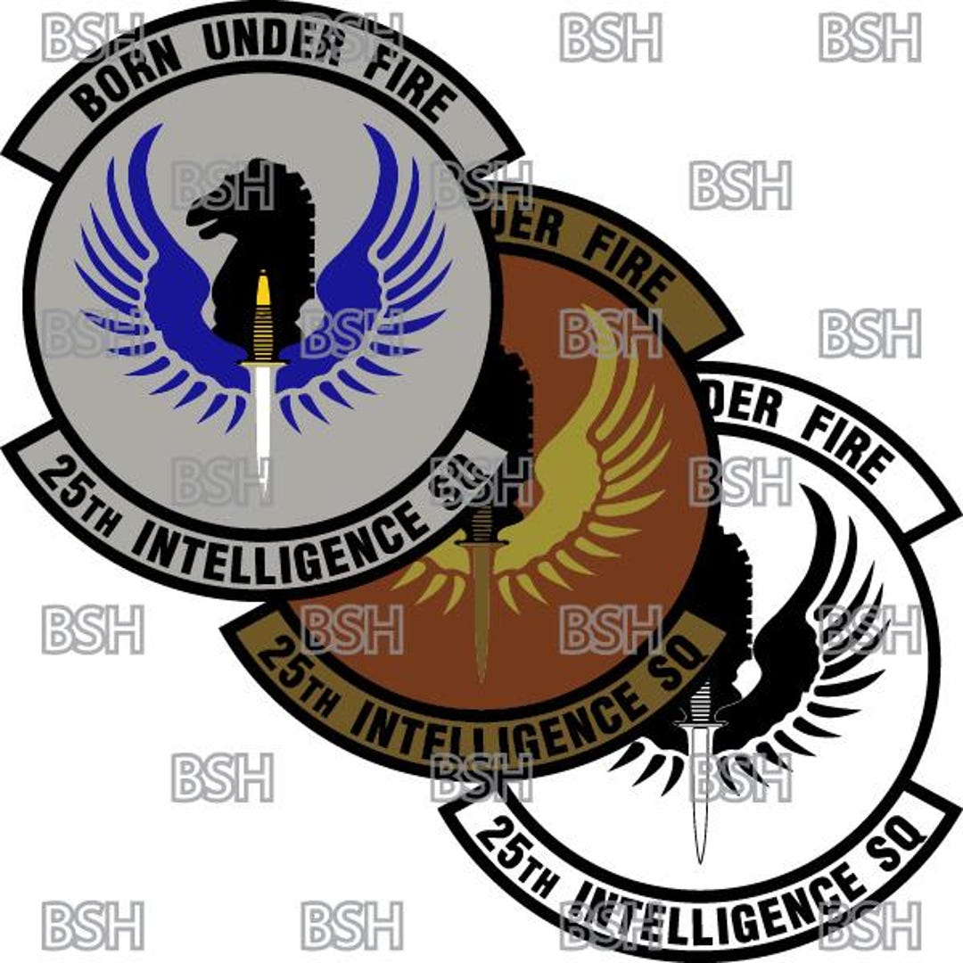 25th Intelligence Squadron (hurlburt Field) Patch Vector Image Files ...