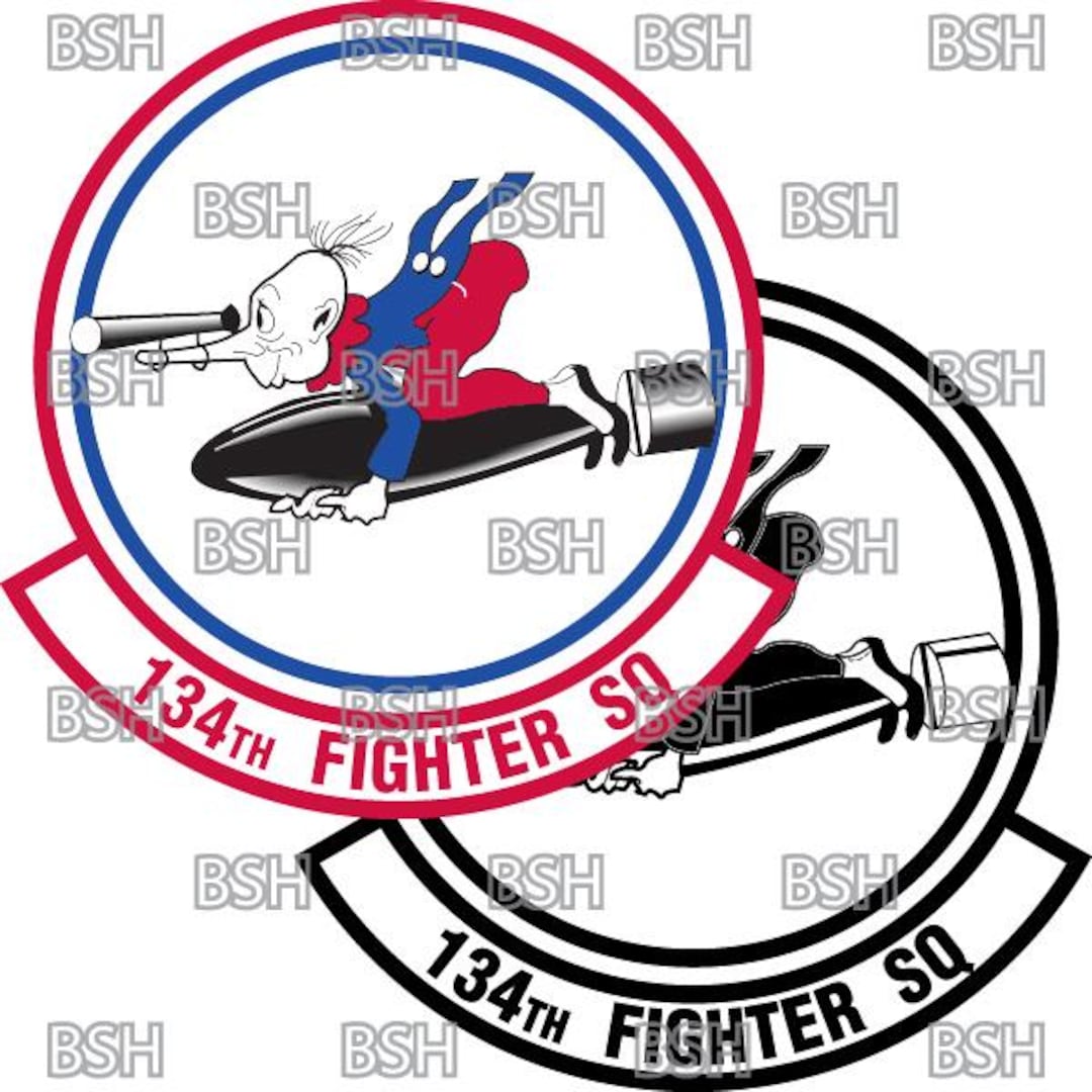 135th Fighter Squadron (vermont ANG) Patch Vector Image Files (.ai ...