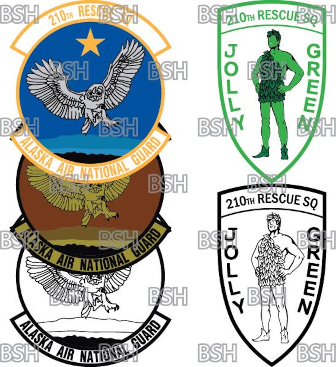 210th Rescue Squadron (alaska ANG) Patch Vector Image Files (.ai, .pdf, & .svg Formats) Plus ...