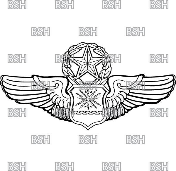 USAF Navigator Wings Vector Image Files (.ai, .pdf, & .svg Formats ...