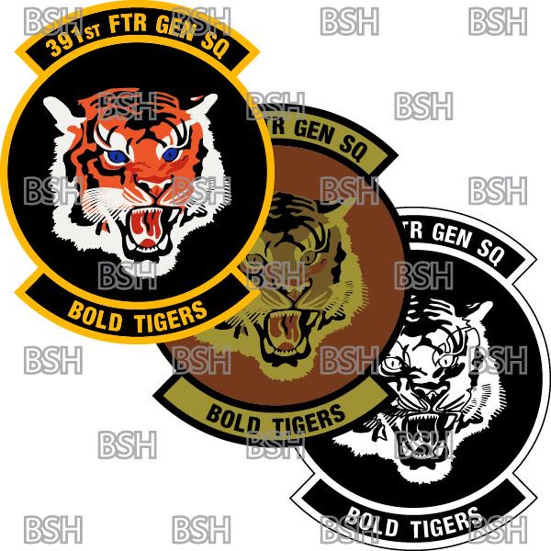 391st Fighter Generation Squadron (mountain Home AFB) Patch Vector ...