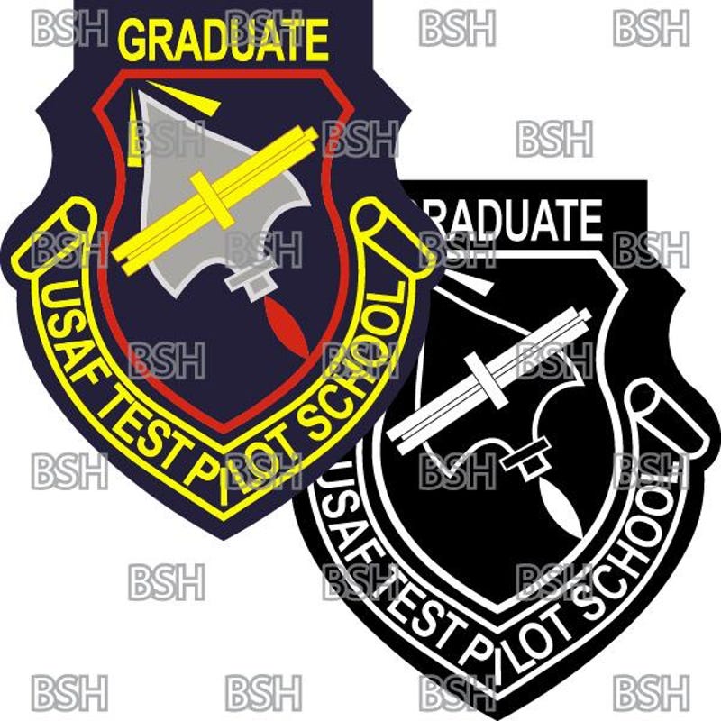 Usaf Pvc Patch - Etsy