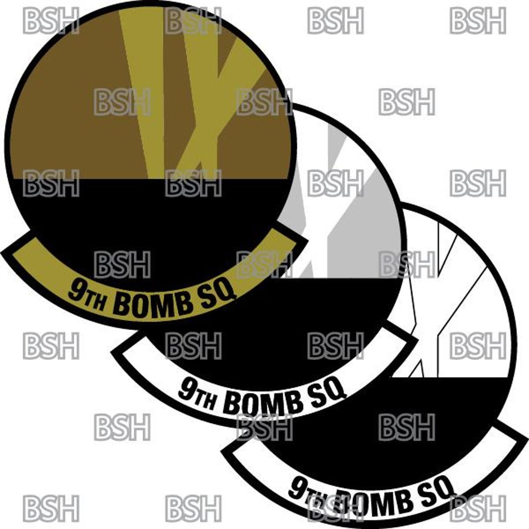 9th Bomb Squadron (dyess AFB) Patch Vector Image Files (.ai, .pdf ...
