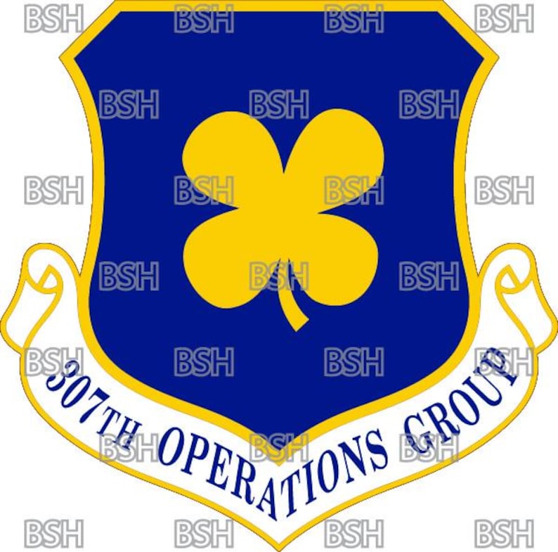 307th Operations Group (barksdale AFB) Patch Vector Image Files (.ai, .pdf, & .svg Formats) Plus ...