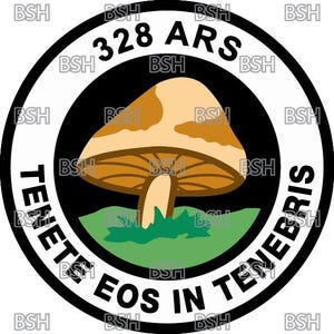 328th Air Refueling Squadron (niagara Falls) Patch Vector Image Files ...