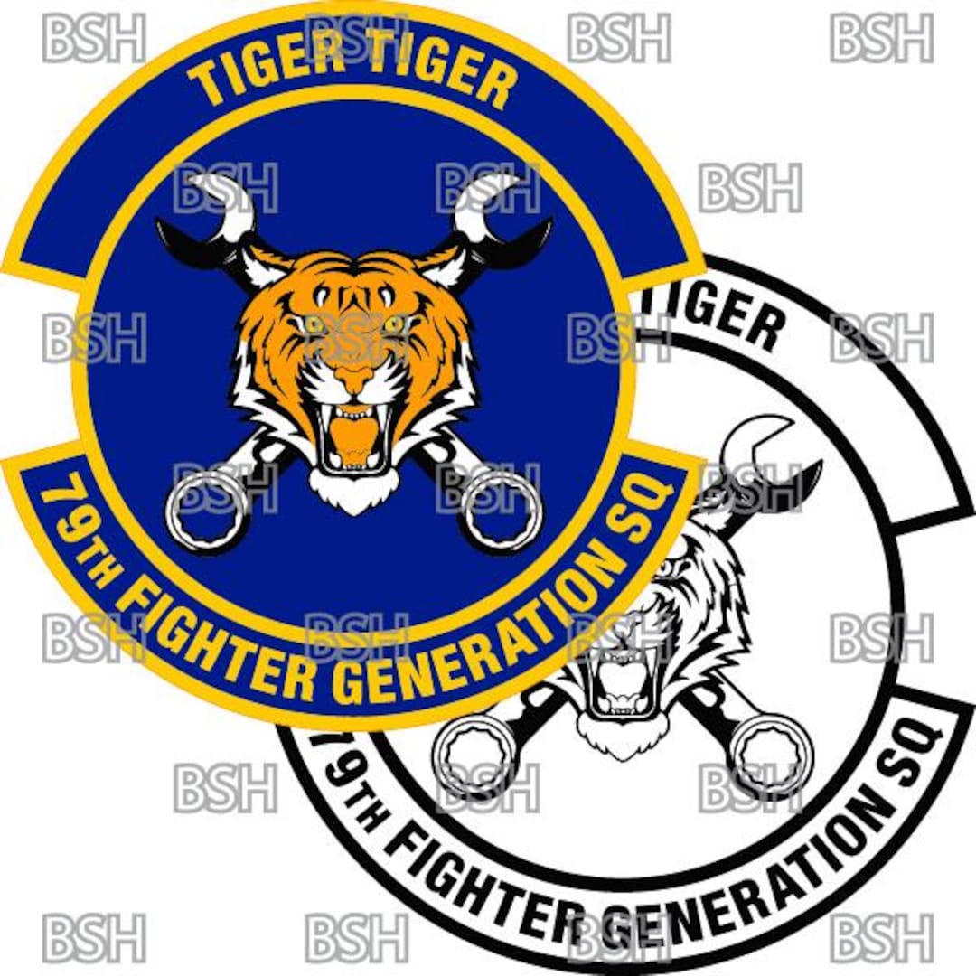 79th Fighter Generation Squadron (shaw AFB) Patch Vector Image Files ...