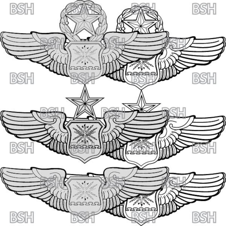 USAF Navigator Wings Vector Image Files (.ai, .pdf, & .svg Formats ...