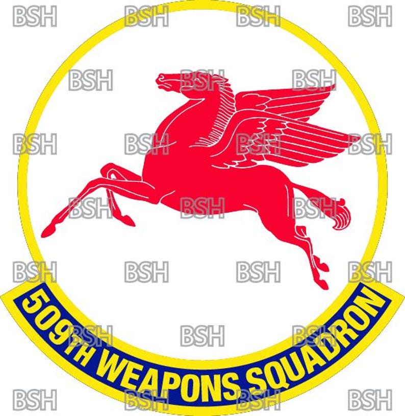 509th Weapons Squadron (fairchild AFB) Patch Vector Image Files (.ai ...