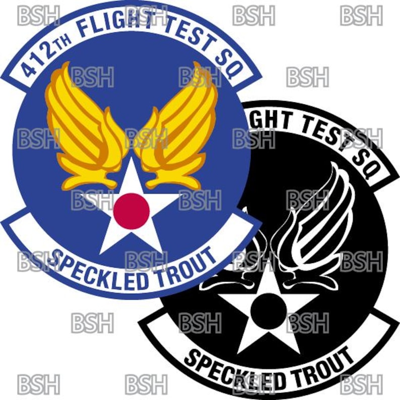 412th Flight Test Squadron (edwards AFB) Patch Vector Image Files (.ai ...