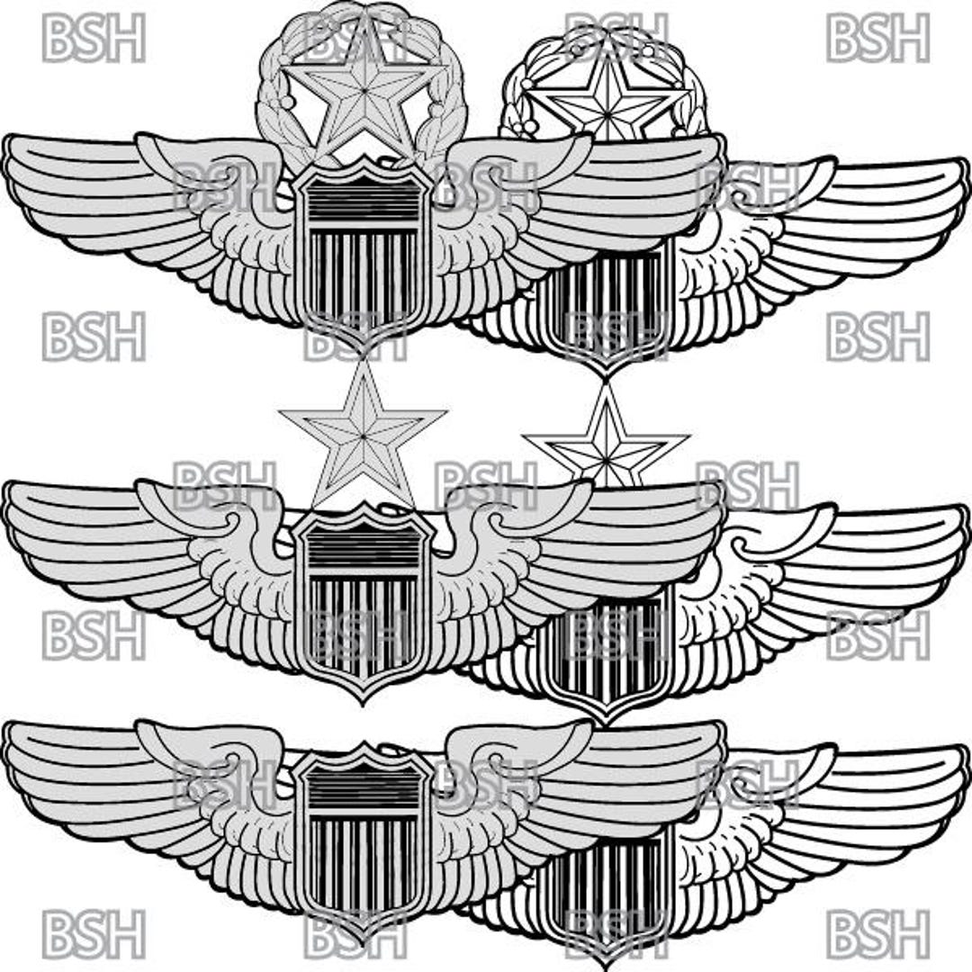 USAF Pilot Wings Vector Image Files (.ai, .pdf, & .svg Formats) Plus ...