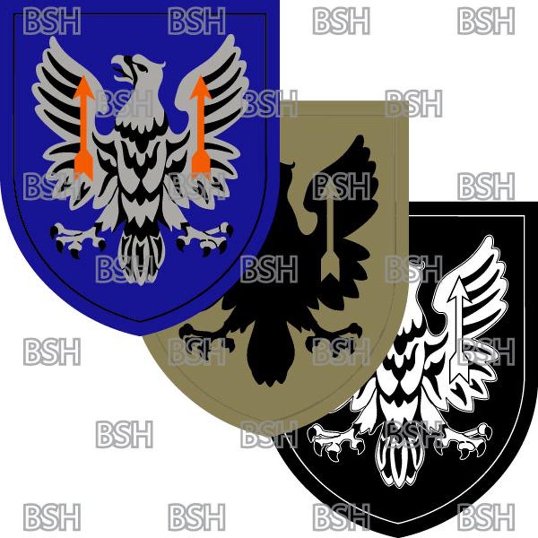 11th Expeditionary Combat Aviation Brigade Patch Vector Image Files ...