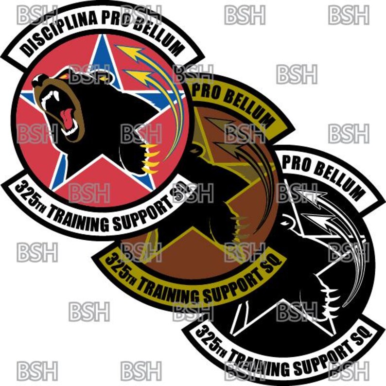 325th Training Support Squadron (tyndall AFB) Patch Vector Image Files ...