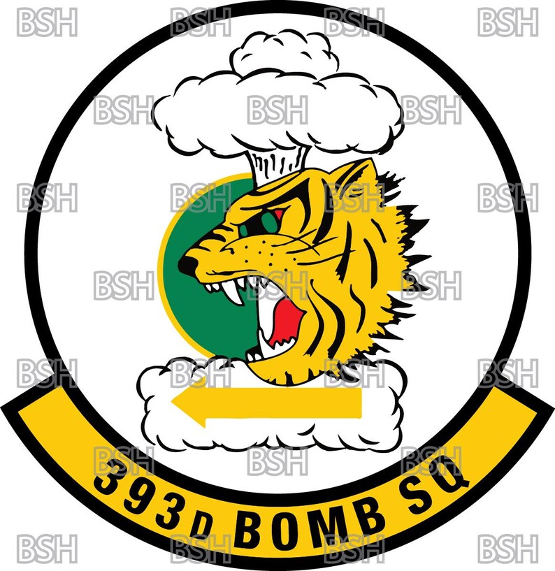 393d Bomb Squadron (whiteman AFB) Patch Vector Image Files (.ai, .pdf ...