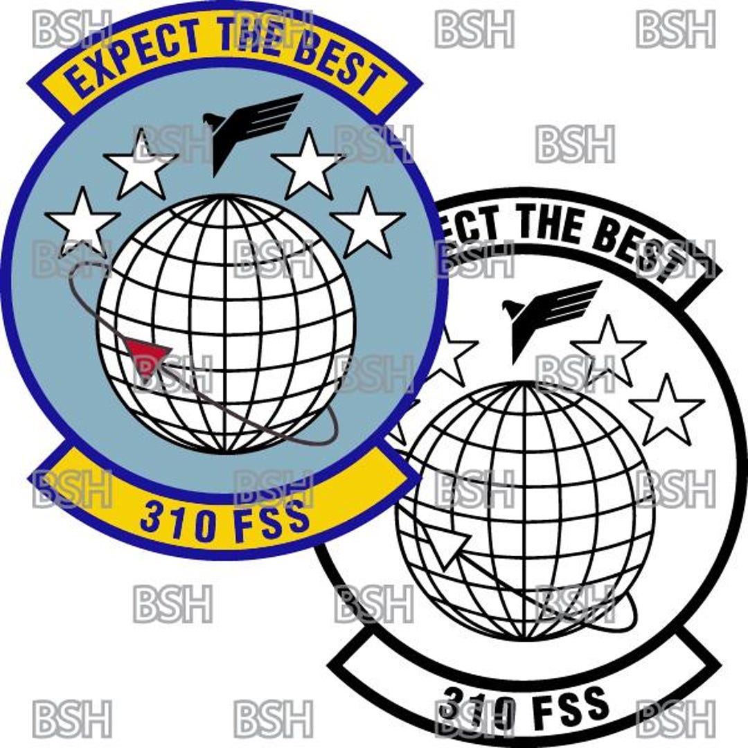 310th Force Support Squadron (buckley SFB) Patch Vector Image Files ...