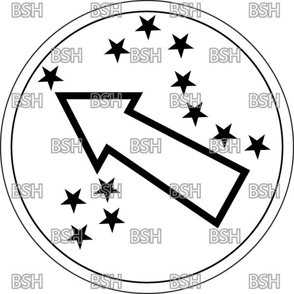 USARPAC Patch Vector Image Files (.ai, .pdf, & .svg Formats) Plus ...