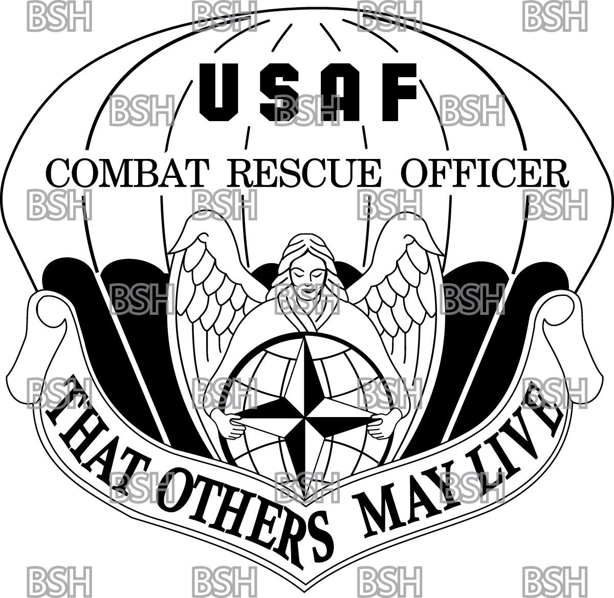 USAF CRO Patch Vector Image Files (.ai, .pdf, & .svg Formats) Plus ...