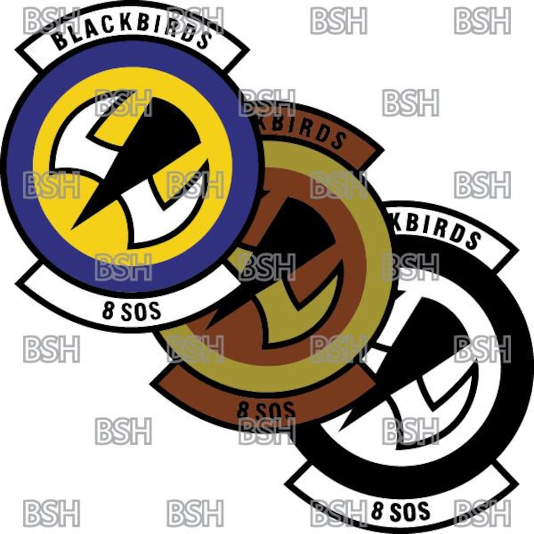 8th Special Operations Squadron (hurlburt Field) Patch Vector Image ...
