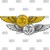 19th Special Operations Squadron (hurlburt Field) Patch Vector Image ...