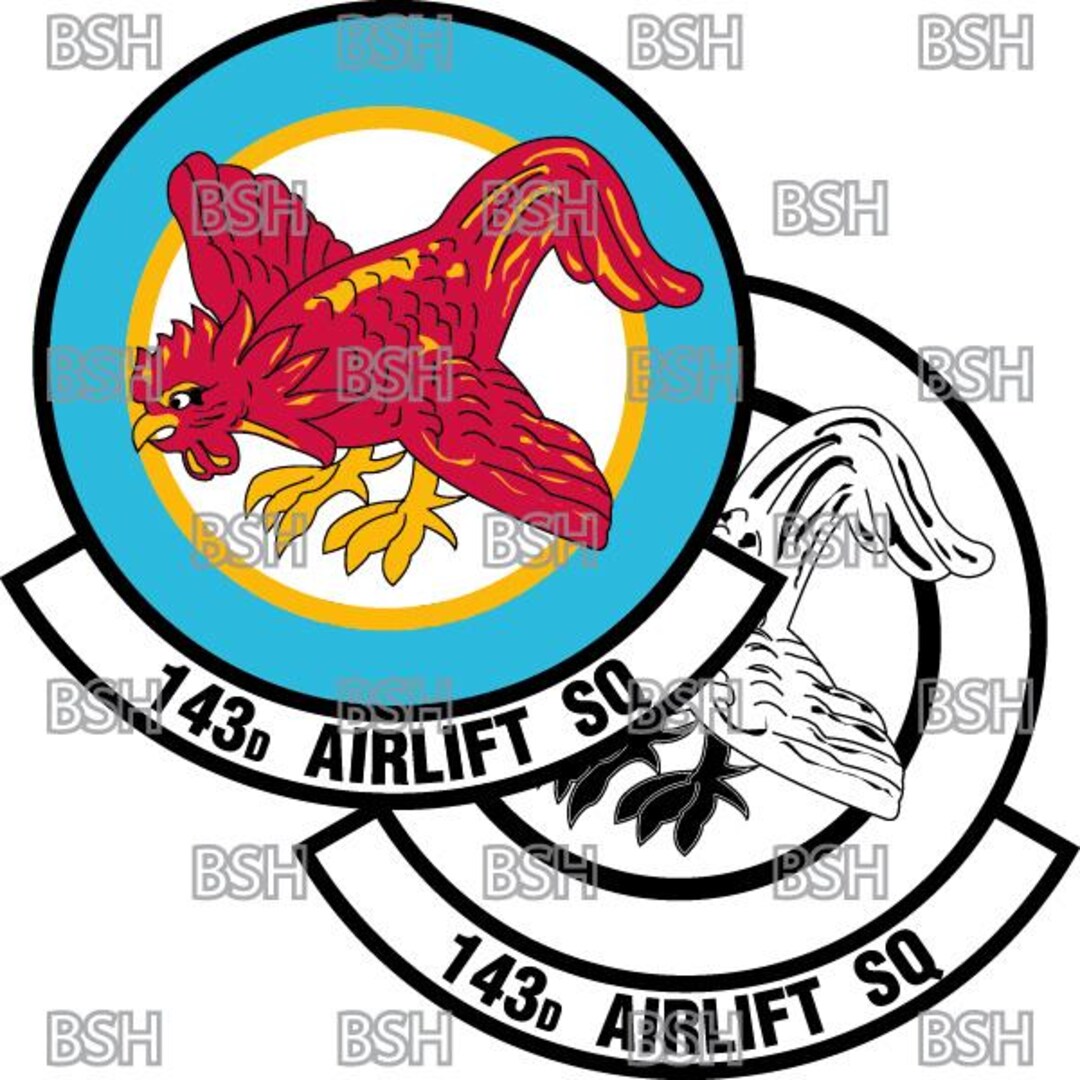 143rd Airlift Squadron (rhode Island ANG) Patch Vector Image Files (.ai ...