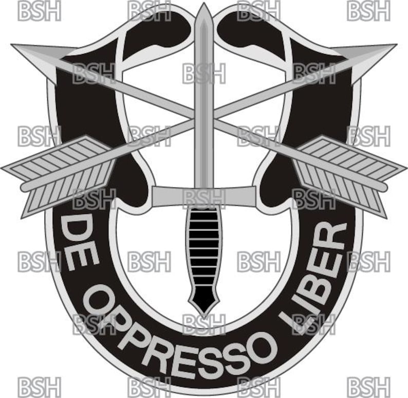 Army Special Forces Badge Vector Image Files .ai, .pdf, & .svg Formats ...