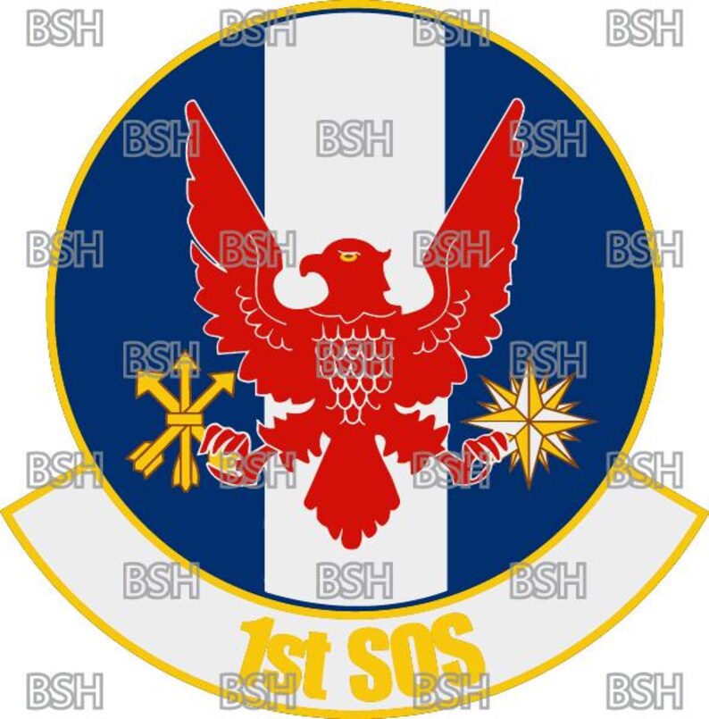 1st Special Operations Squadron (kadena AB) Patch Vector Image Files ...