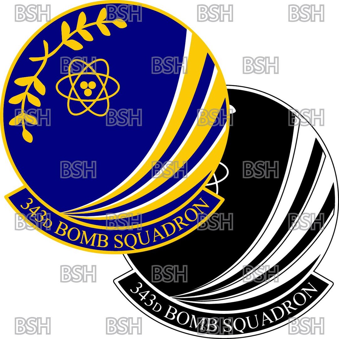 343d Bomb Squadron (barksdale AFB) Patch Vector Image Files (.ai, .pdf ...