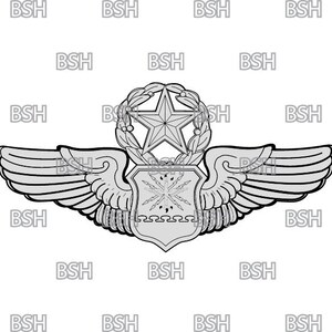 USAF Navigator Wings Vector Image Files (.ai, .pdf, & .svg Formats ...