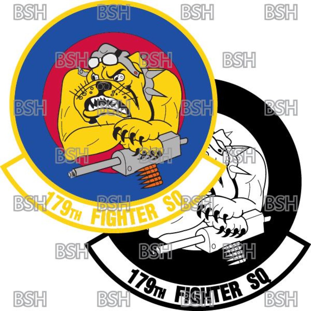 179th Fighter Squadron (minnesota ANG) Patch Vector Image Files (.ai ...