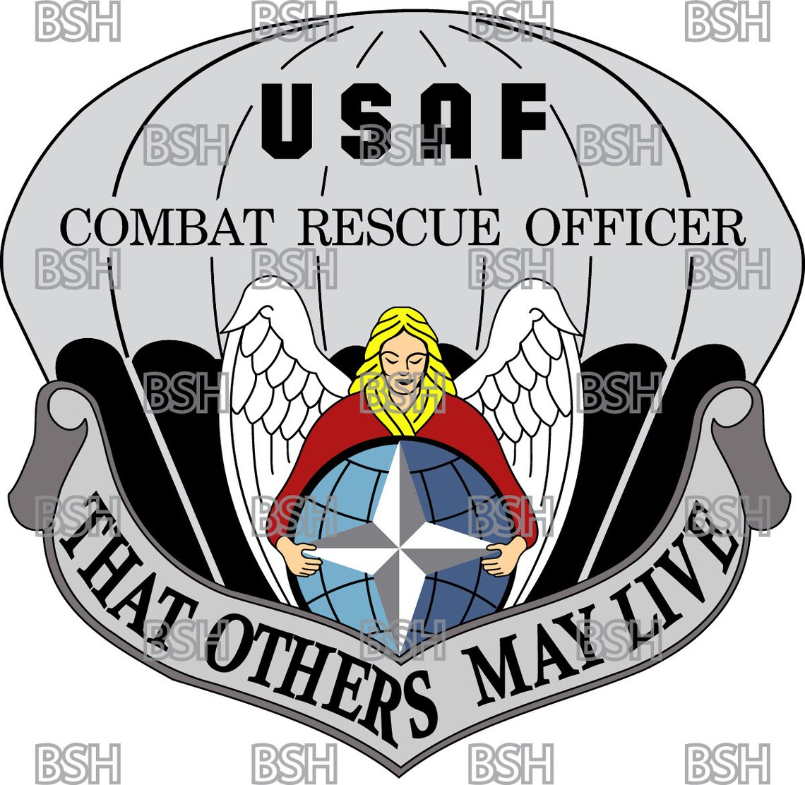 USAF CRO Patch Vector Image Files (.ai, .pdf, & .svg Formats) Plus ...