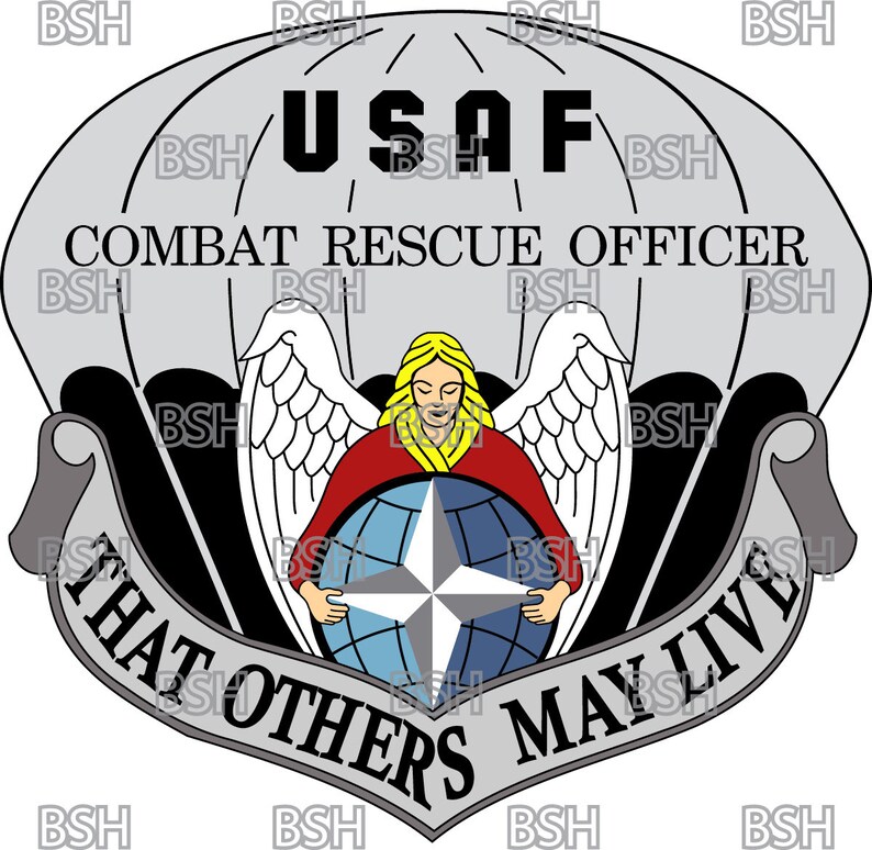 USAF CRO Patch Vector Image Files (.ai, .pdf, & .svg Formats) Plus ...