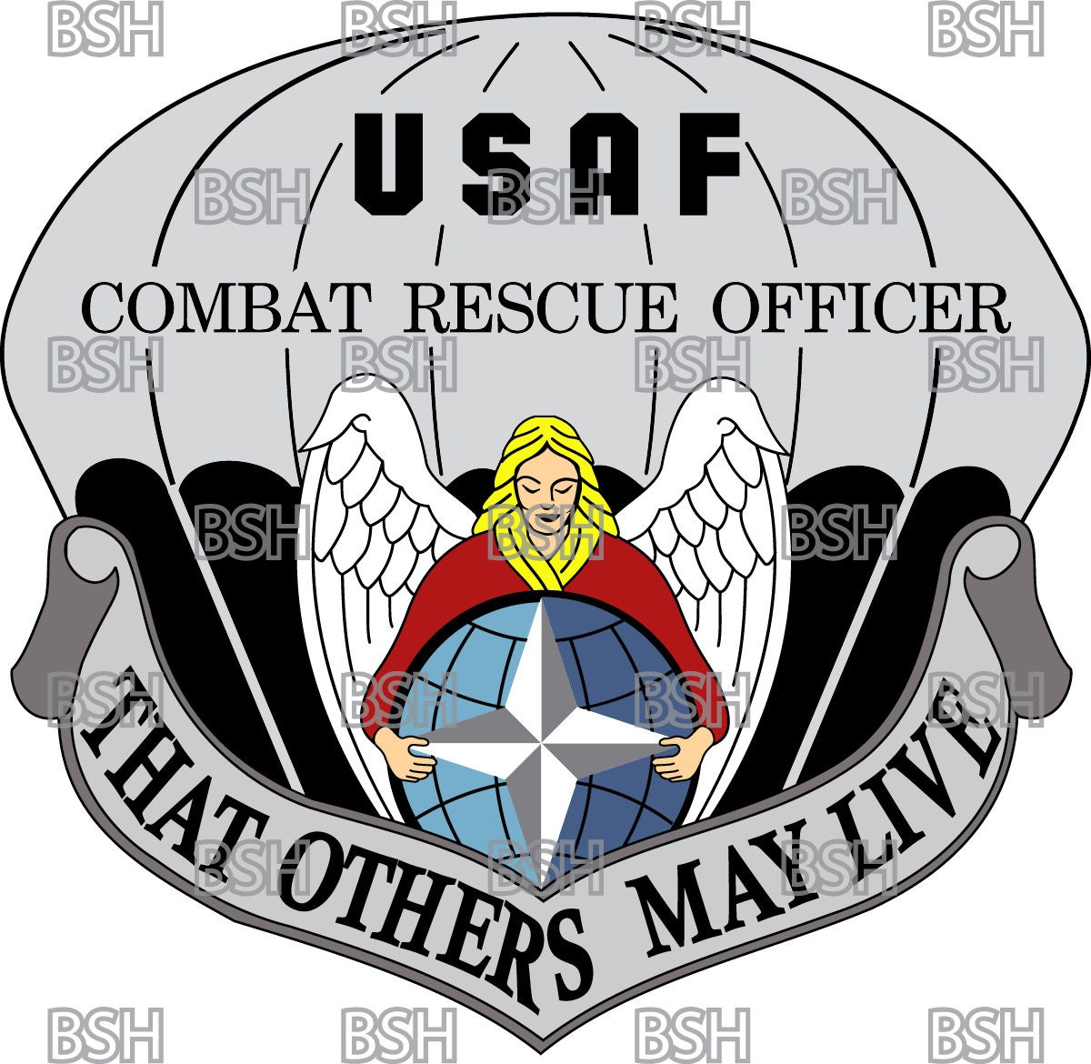 USAF CRO Patch Vector Image Files (.ai, .pdf, & .svg Formats) Plus ...