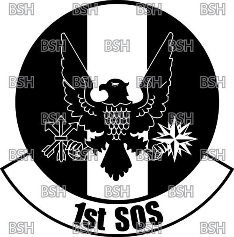 1st Special Operations Squadron (kadena AB) Patch Vector Image Files ...