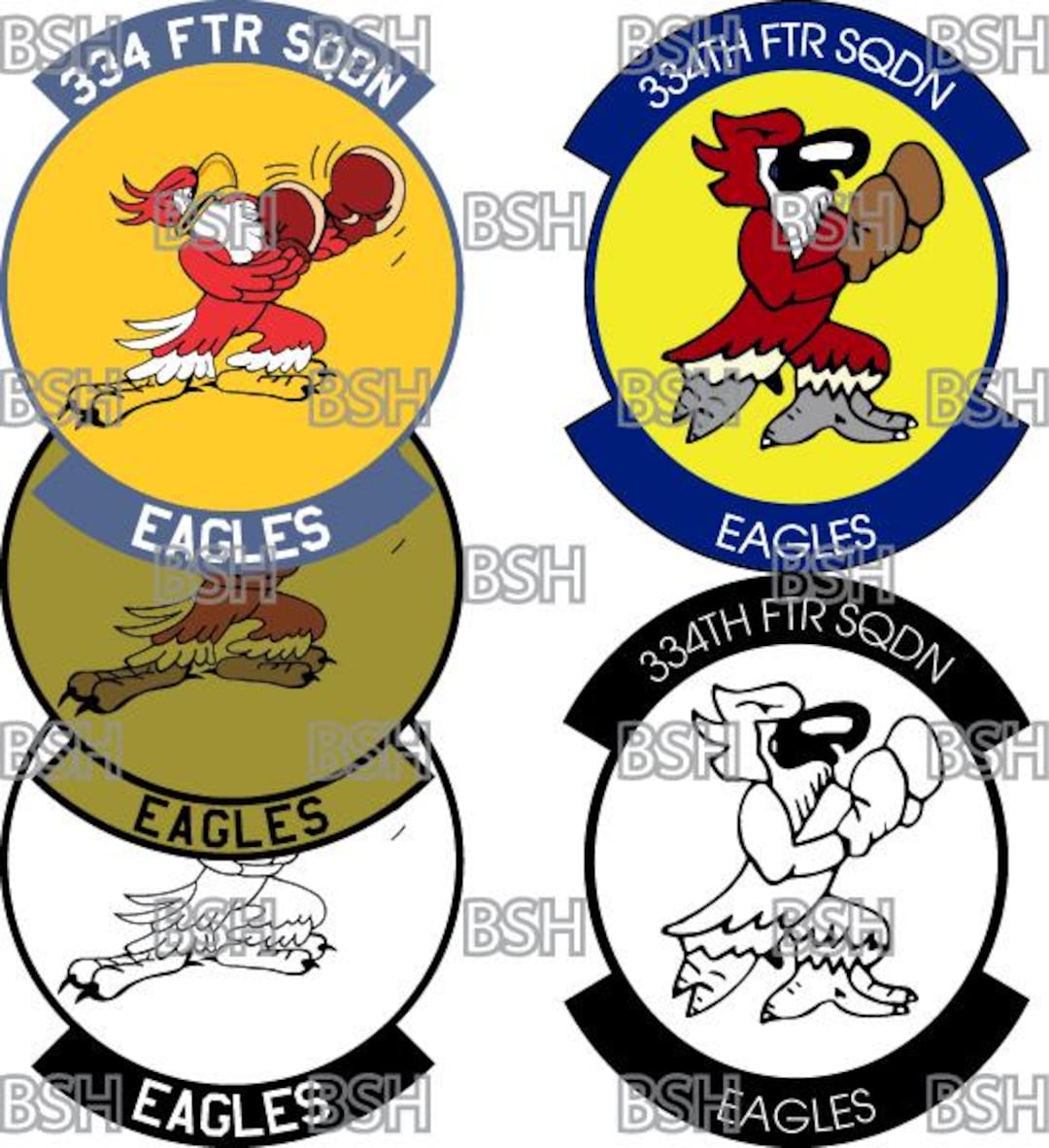 334th Fighter Squadron (seymour-johnson AFB) Patch Vector Image Files ...