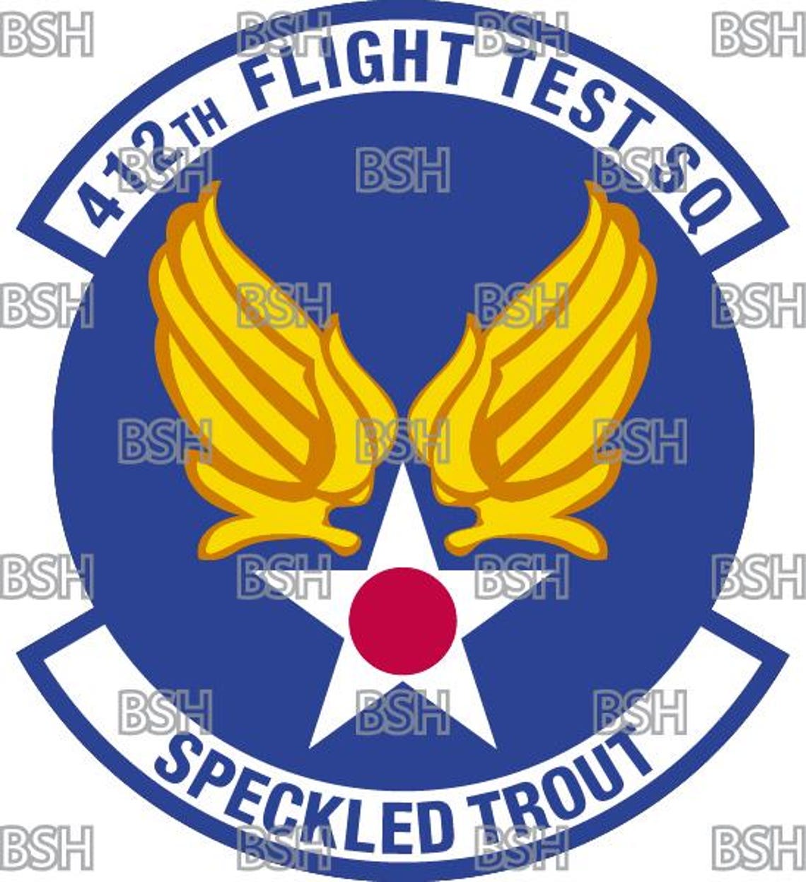 412th Flight Test Squadron (edwards AFB) Patch Vector Image Files (.ai ...