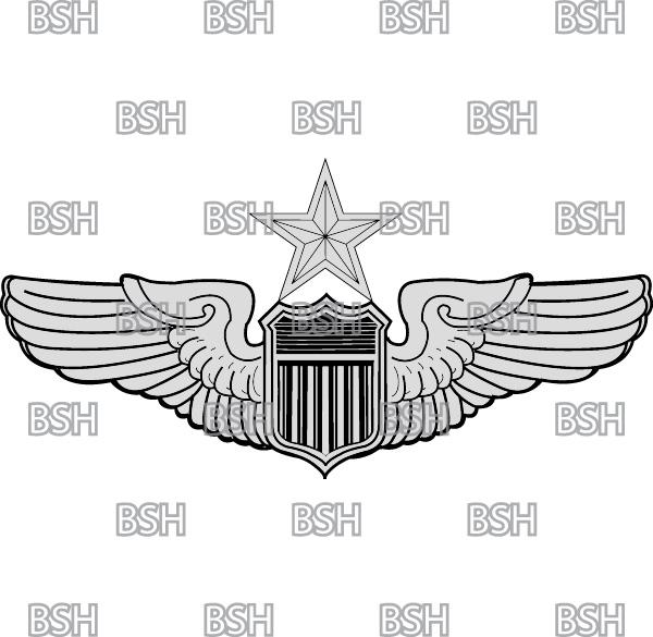 USAF Pilot Wings Vector Image Files (.ai, .pdf, & .svg Formats) Plus ...