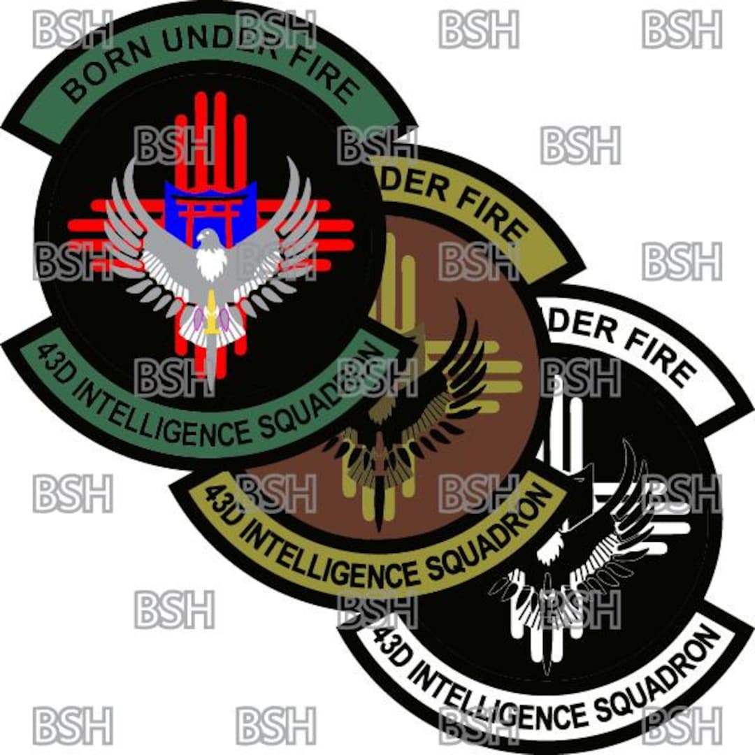 43d Intelligence Squadron (cannon AFB) Patch Vector Image Files (.ai ...