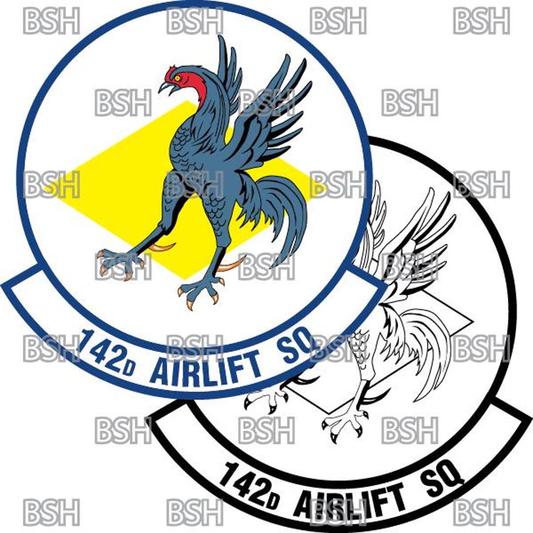 142nd Airlift Squadron (delaware ANG) Patch Vector Image Files (.ai ...